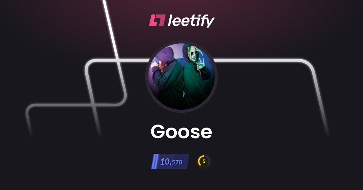 Goose - CS2 Stats and Player Profile - Leetify