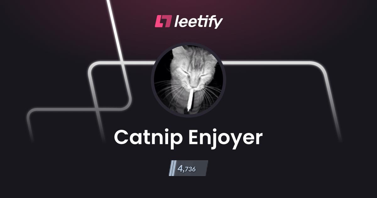 Catnip Enjoyer - CS2 Stats and Player Profile - Leetify