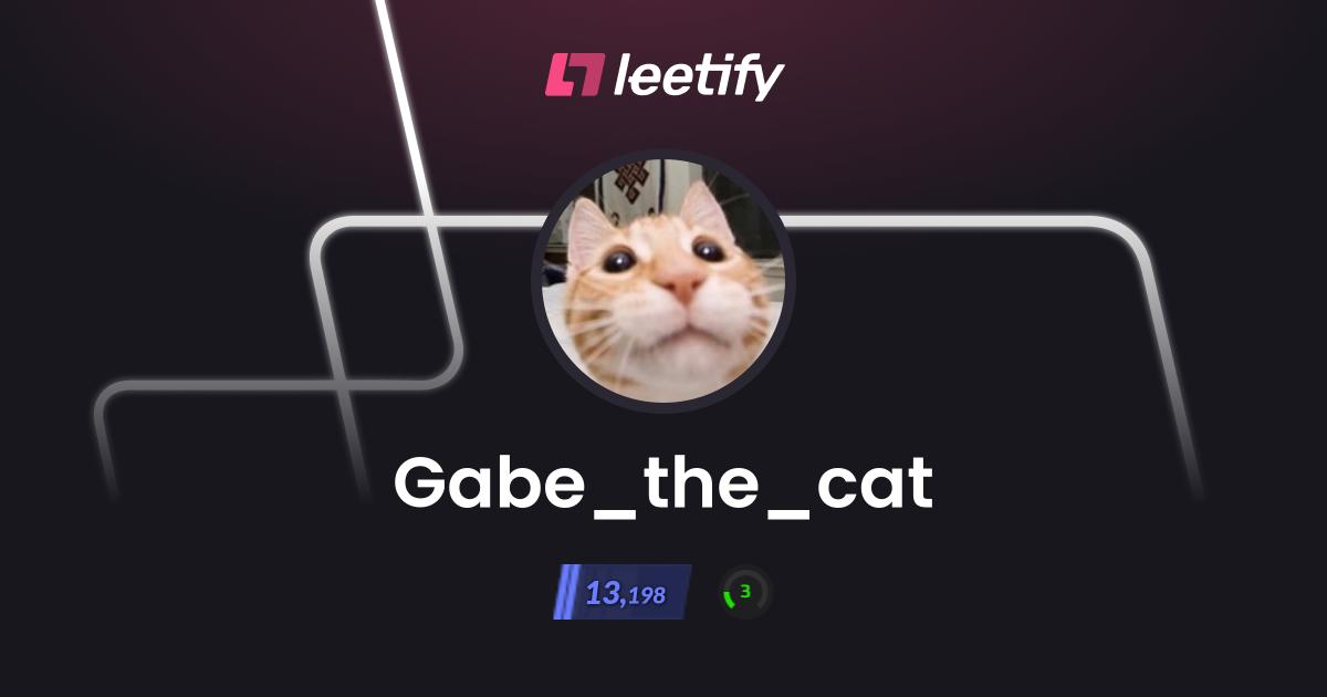 Gabe_the_cat - CS2 Stats and Player Profile - Leetify