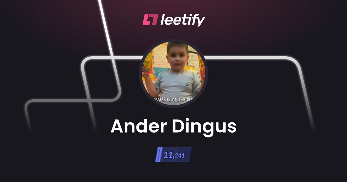 Ander Dingus - CS2 Stats and Player Profile - Leetify