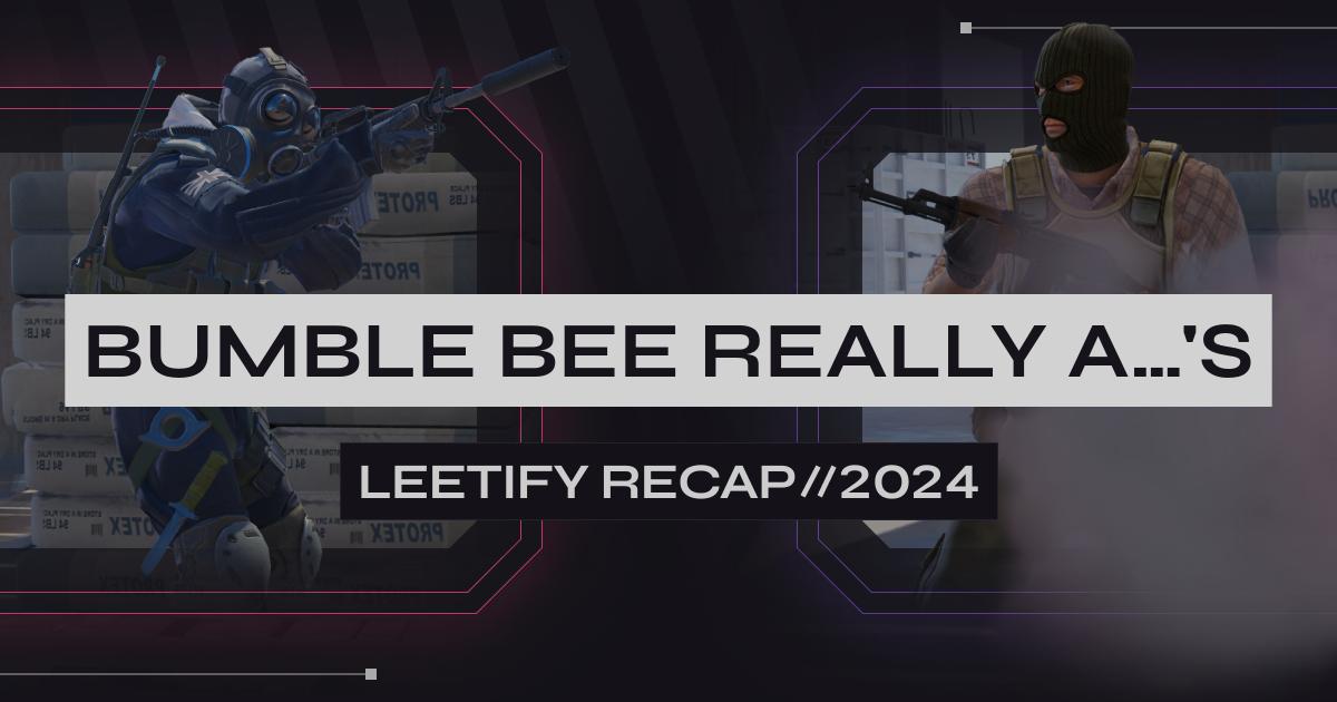 bumble bee really about it's 2024 Leetify Recap – Leetify